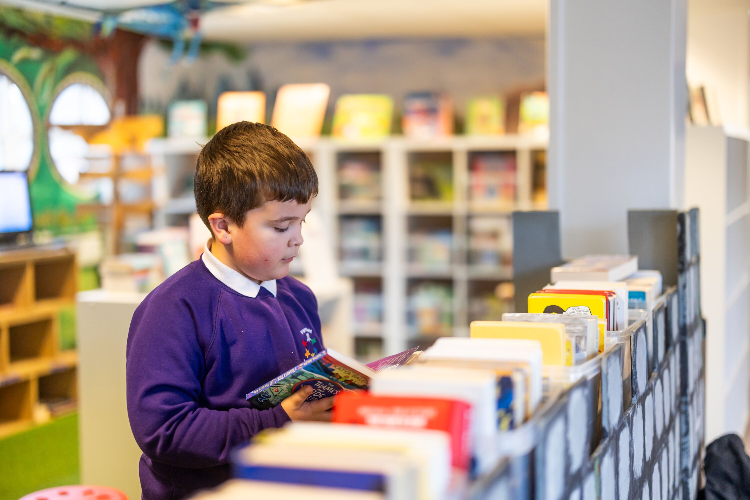 Curriculum Overview - Portfield Primary